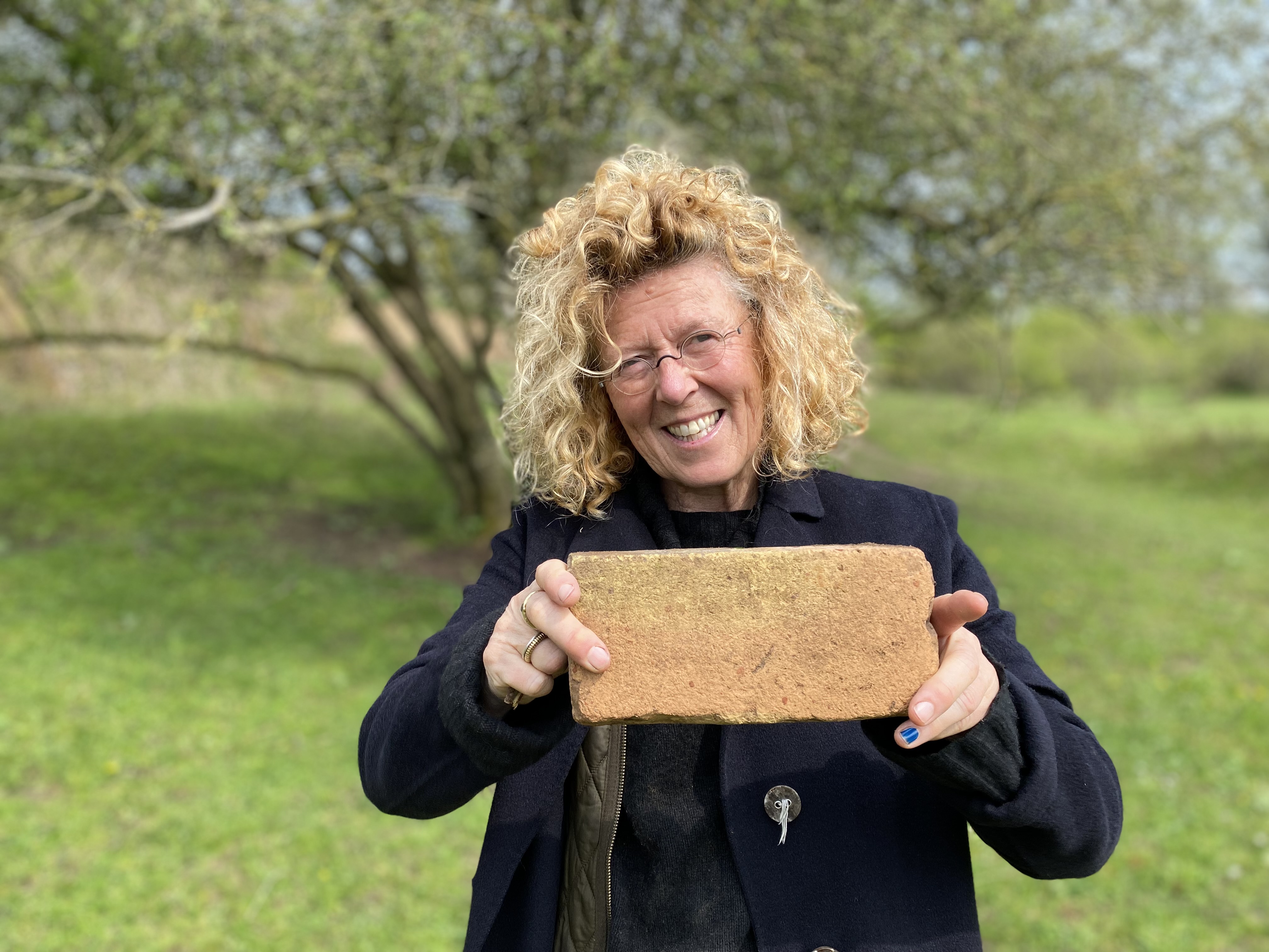 Brigitte broedt op een baksteen - Onze IJssel